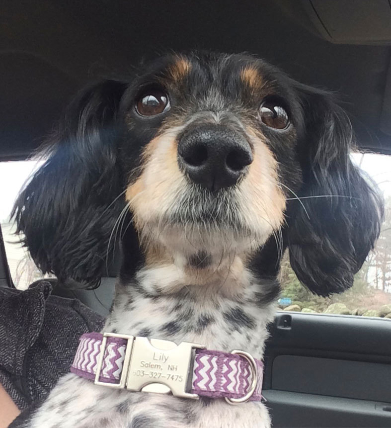 New Construction Premier Home Builder in NH & MA Boston Area